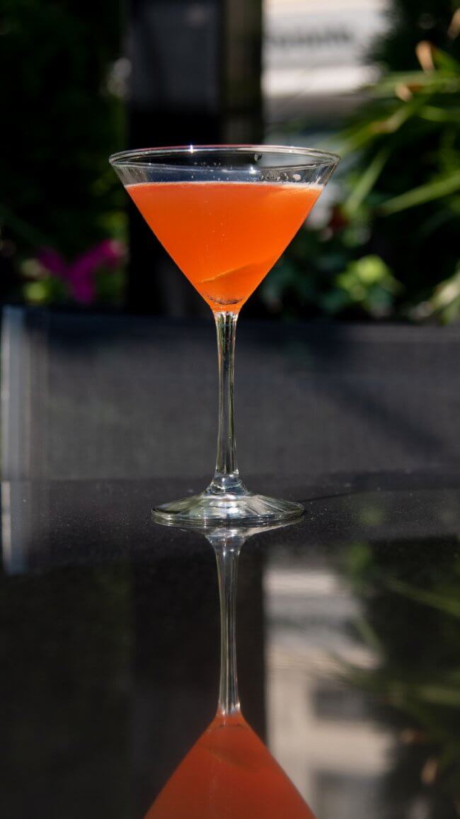 Gallery | Blu Ristorante Fine Dining Toronto